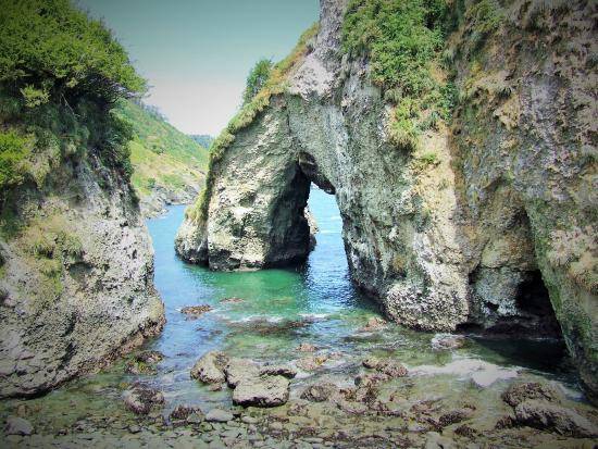 Actividades en la Costa de Valdivia - Valdi.App